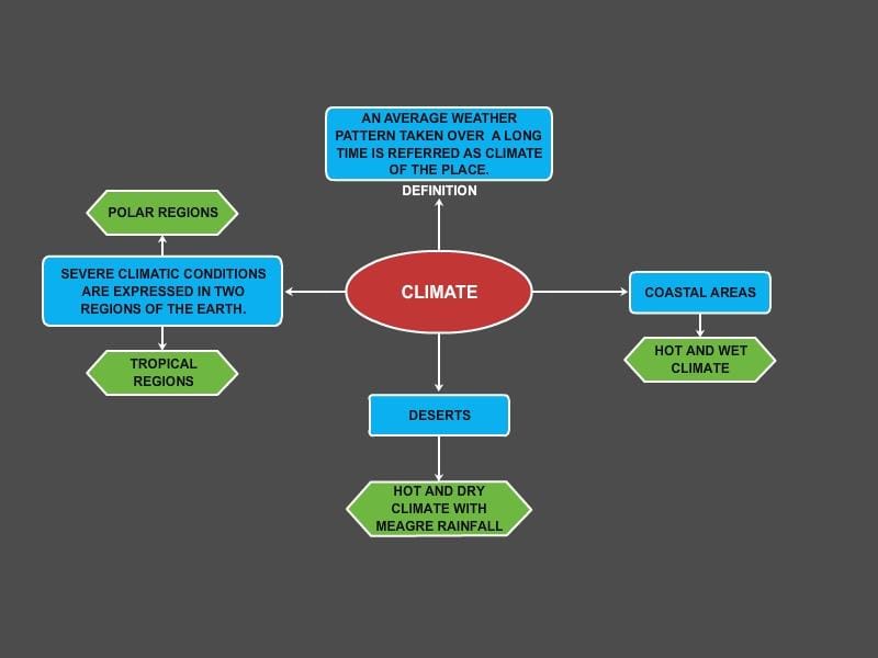 7.3 Mind Map - Class 7 PDF Download