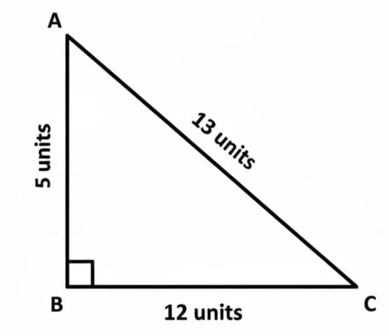 Worksheet: THE BAUDHĀYANA- Pythagoras Theorem - Mathematics (Maths ...
