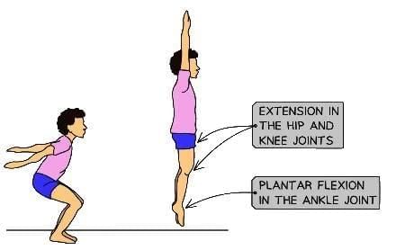 Types of Movement in Sport - Physical Education for GCSE/IGCSE - Year ...