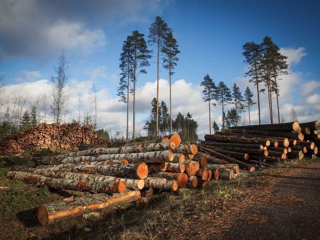 Deforestation and Desertification - UPSC PDF Download