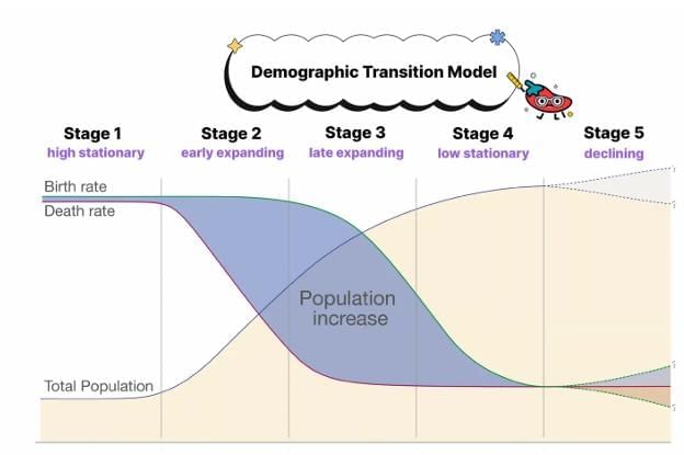 The Demographic Transition Model Chapter Notes - AP Human Geography ...