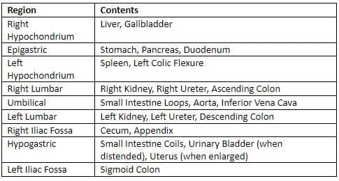 Abdomen - 1 Chapter Notes - Anatomy - NEET PG PDF Download
