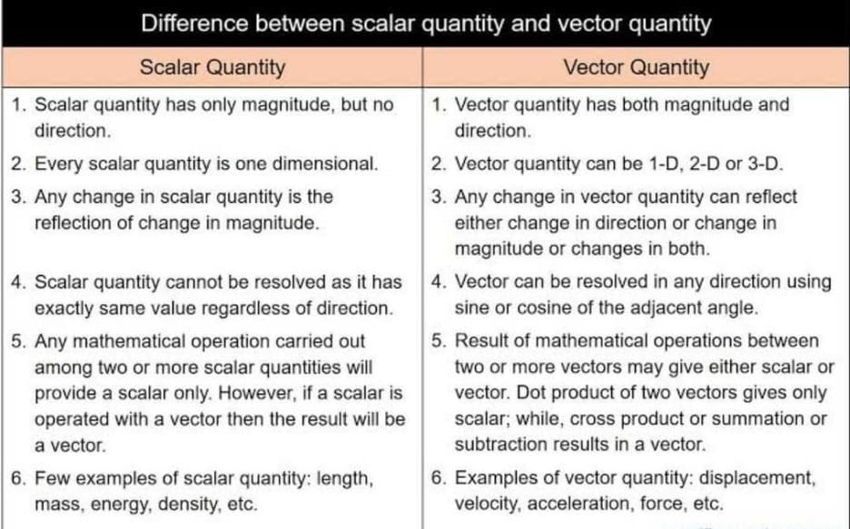 What Is A Vector Or Scalar Scalars And Vectors