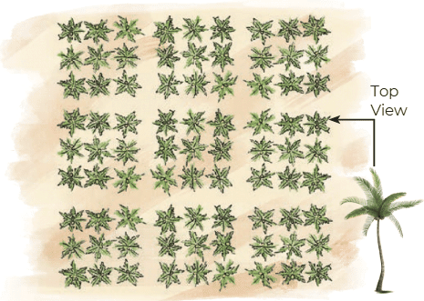 NCERT Solutions for Class 4 Maths Chapter 3 - Patterns Around Us