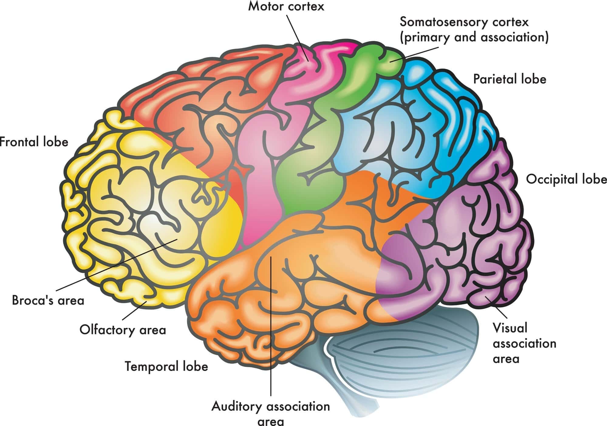 Mock Test Paper - 2 (Psychology Optional Paper- I): Answers ...