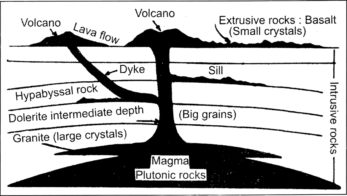 Veena Bhargava Textbook Solutions Rocks and Rock Cycle - Geography Class