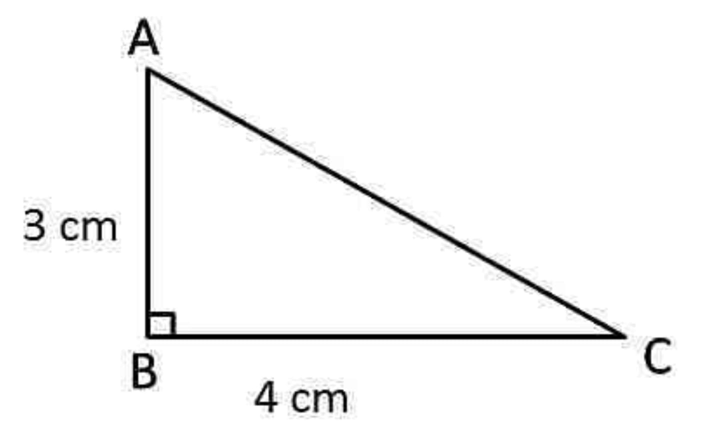THE BAUDHĀYANA- Pythagoras Theorem Worksheet - Class 8 Maths