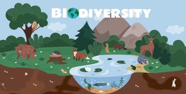 Biodiversity - I - Crash Course for UGC NET Environmental Sciences PDF