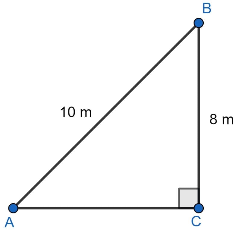 THE BAUDHĀYANA- Pythagoras Theorem Worksheet - Class 8 Maths