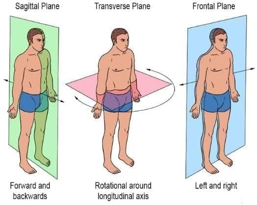 The Planes and Axes of Movement Used During Sport - Physical Education ...