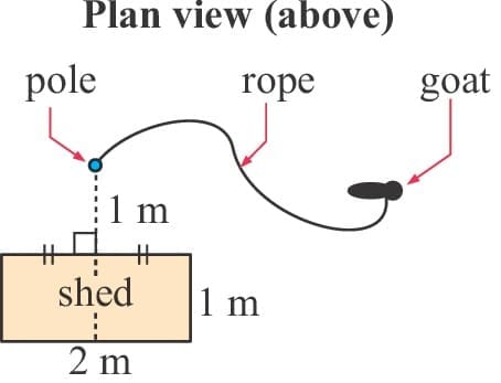 Locus Chapter Notes - IB Grade 8 (MYP Year 3) - Grade 8 (MYP 3) PDF ...