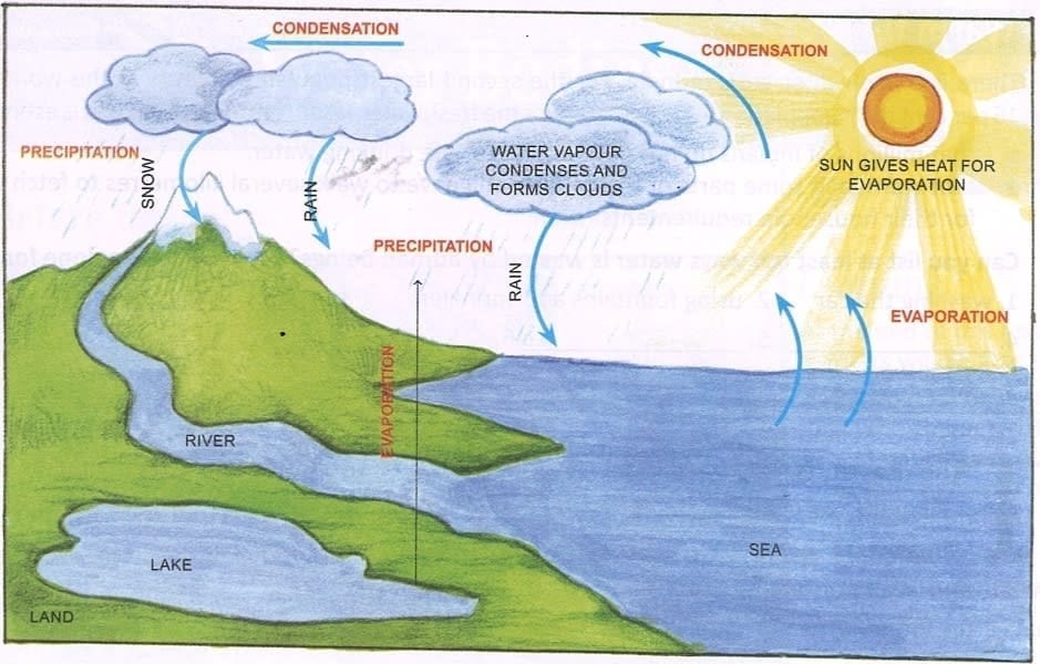 Frank Textbook Solutions Water Bodies - Geography Class 6 ICSE PDF Download
