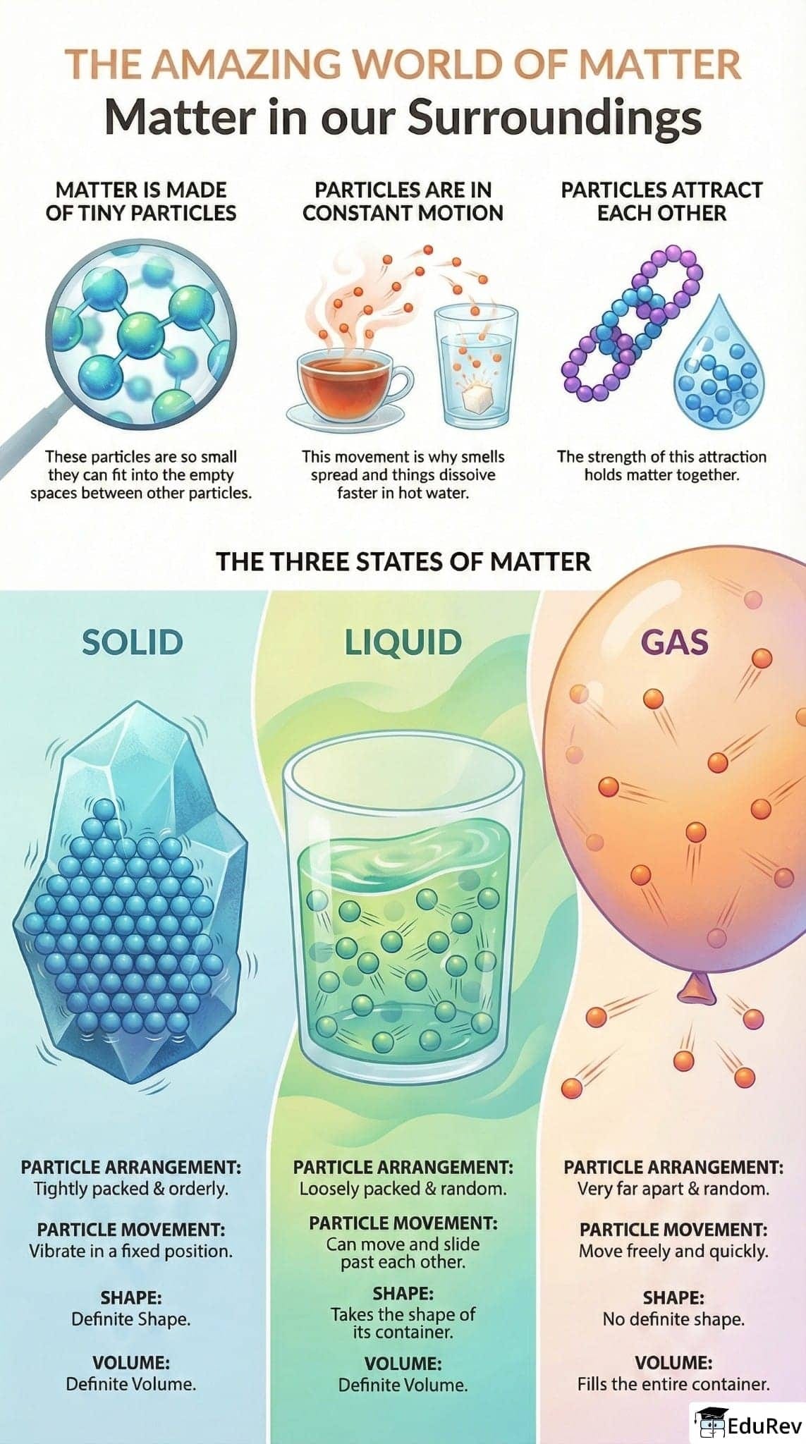 Infographics: Matter in Our Surroundings - Science Class 8 PDF Download