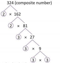 Factors and Multiples Chapter Notes - Mathematics Class 5 ICSE PDF Download