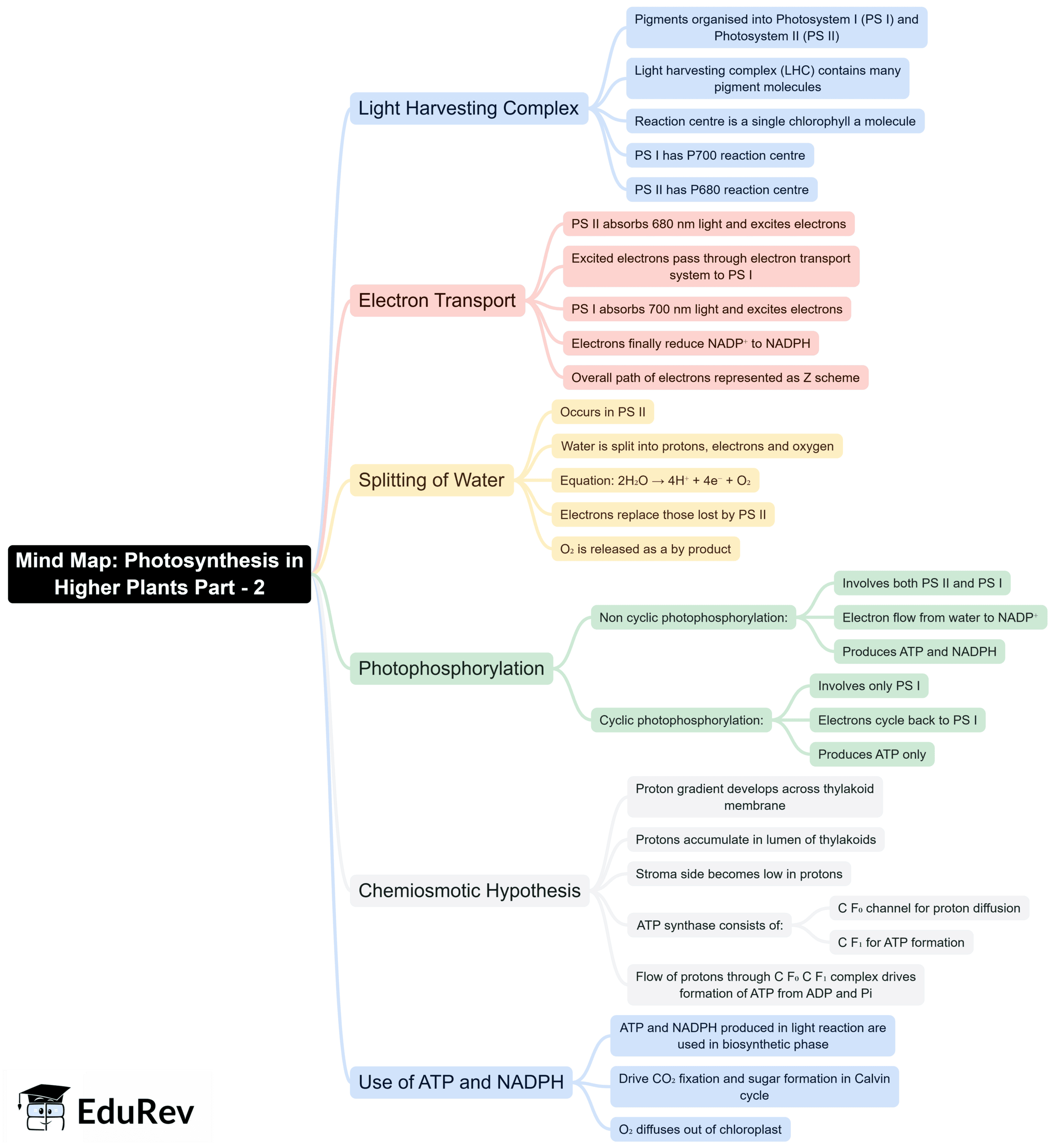 Photosynthesis in Higher Plants Mind Map - NEET Biology Class 11 PDF ...