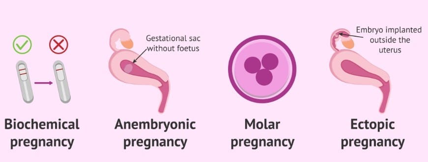 Care During Pregnancy and Pre-natal Development - Crash Course for UGC NET