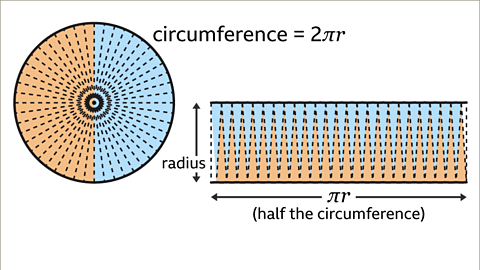 Area of Circles - Year 7 PDF Download