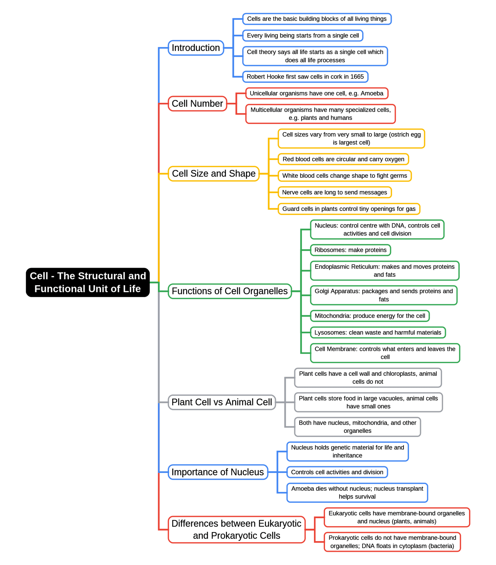 Mind Map: Cell - The Structural and Functional Unit of Life PDF Download