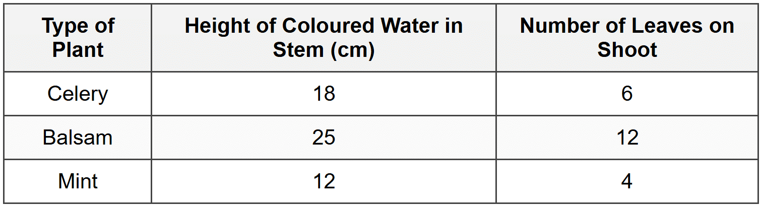 Xylem Important Questions - PSLE Science PDF Download