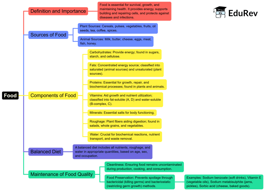 Mind Map: Food - Science and Pedagogy Paper 2 for CTET and TET Exams ...