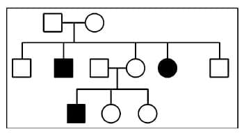 CBSE Previous Year Questions Principles of Inheritance and Variation