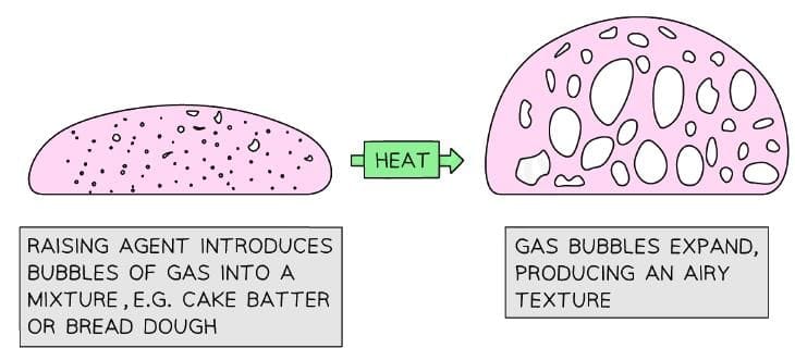 Raising Agents - Food and Nutrition for Year 6 PDF Download