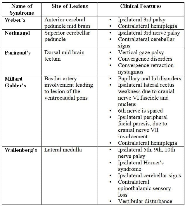 Neurology - 2 Chapter Notes - Medicine - NEET PG PDF Download