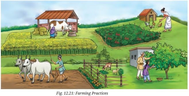 How Nature Works in Harmony NCERT Solutions - Science Curiosity Class 8 ...