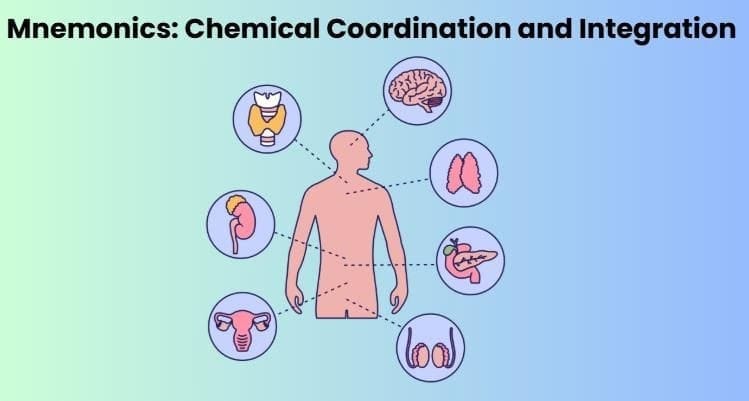Mnemonics Chemical Coordination and Integration - Biology Class 11 - NEET