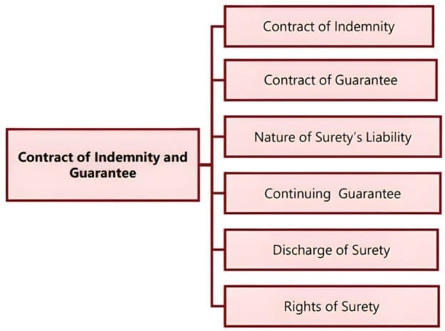 Unit 7: Contract of Indemnity and Guarantee Chapter Notes - Business ...