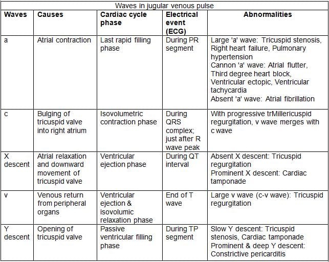 Cardiac Output and Regulation Chapter Notes - Physiology - NEET PG PDF