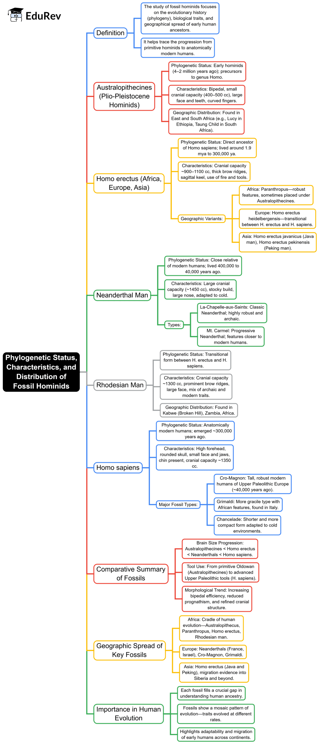Mind Map: Phylogenetic Status, Characterstics and geographical Distribution - Anthropology ...