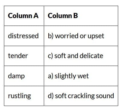 Half Yearly Class 5 English Set 2 (Solutions) PDF Download