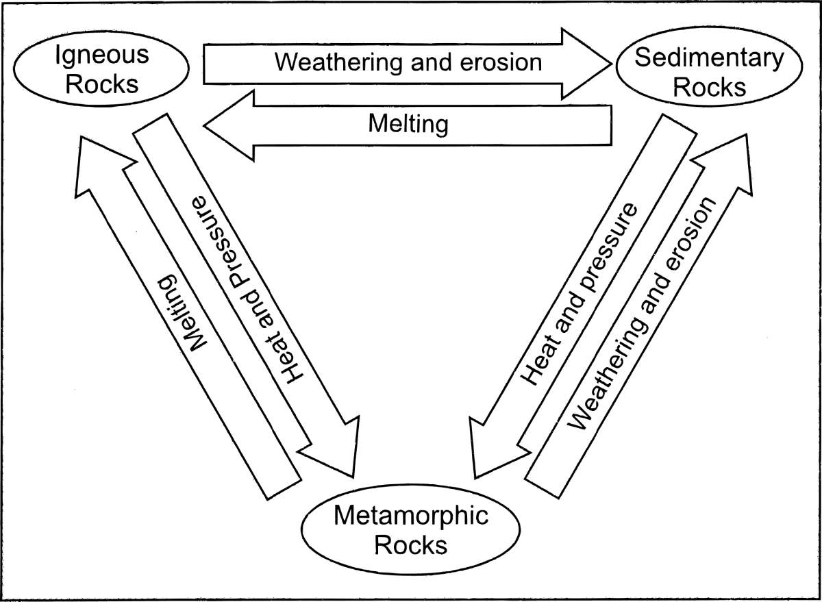 Veena Bhargava Textbook Solutions Rocks and Rock Cycle - Geography Class