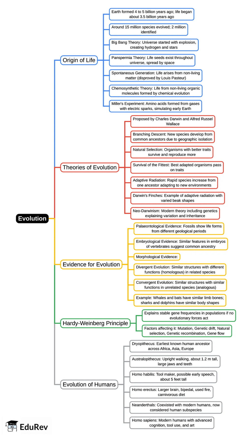 Quick Revision: Class 12 Biology at a Glance - Biology Class 12 - NEET ...